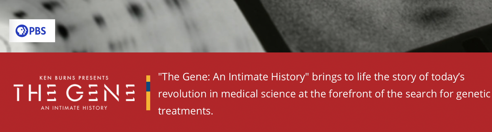 The Gene: an Intimate History | Professor Edward Wild